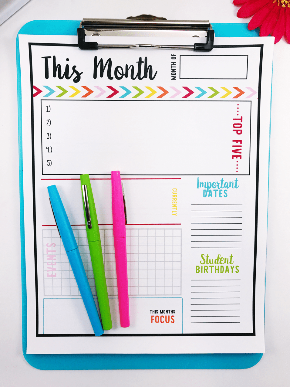 5 Tips to Take Your Teacher Binder from Drab to Fab - Mandy Neal